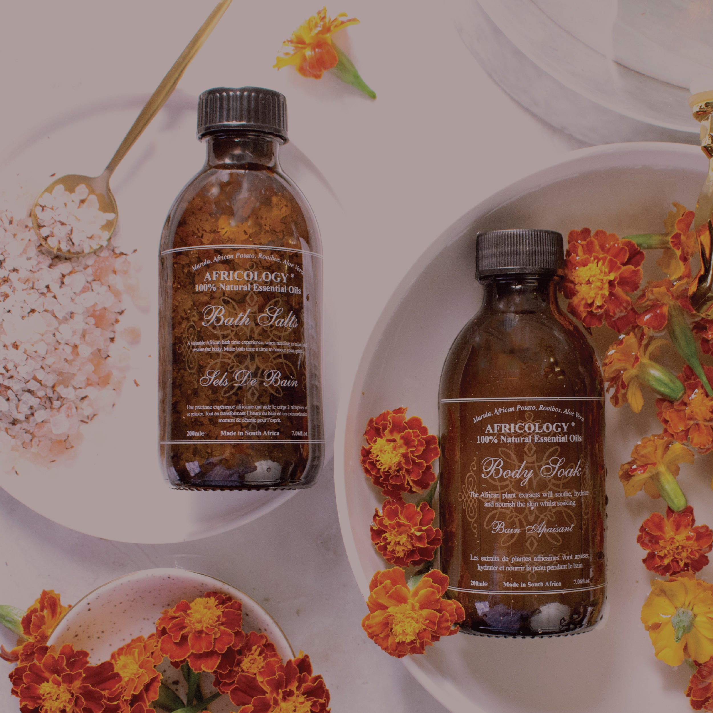 Africology South Africa